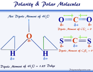 Polarity - Molecules, Bonds, Definition, Examples