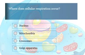Biology Quiz - Questions, Answers - Learning Chemistry