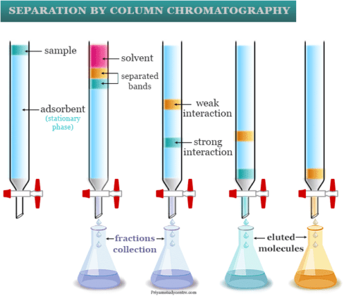 Column Chromatography - Procedure, Separation