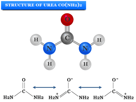 Index of /wp-content/uploads/2021/12/