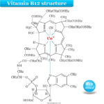 Vitamin B12 - Structure, Deficiency, Sources, Functions