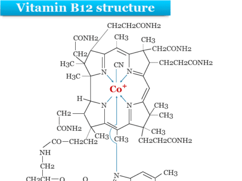 Vitamin - Definition, Sources, Types, Deficiency