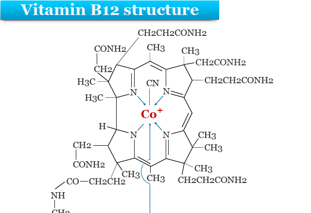 Index of /wp-content/uploads/2021/12/