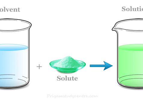 Solvent - Definition, Types, Examples - Chemistry