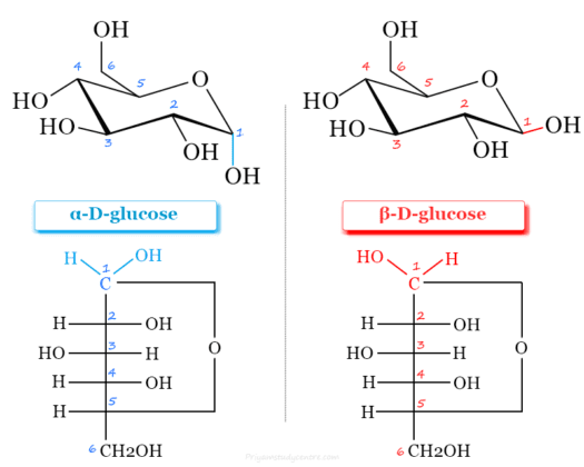 Carbohydrates - Uses, Benefits, Types, Metabolism