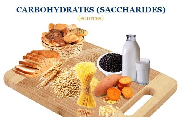 Biochemistry - Definition, Courses, Topics