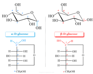 Glucose Molecule - Formula, Definition, Structure, Benefits