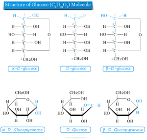 Glucose Molecule - Formula, Definition, Structure, Benefits