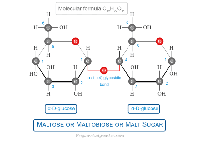Maltose Sugar - Formula, Structure, Hydrolysis, Sources