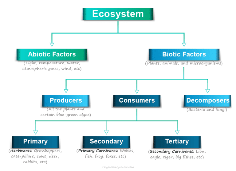 Ecosystem - Definition, Diversity, Examples, Types, Structure